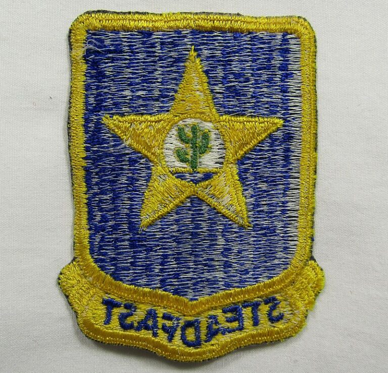 409th Infantry Regiment Patch – Griffin Militaria