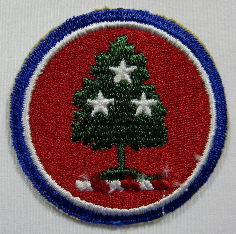 Tennessee National Guard Patch – Griffin Militaria