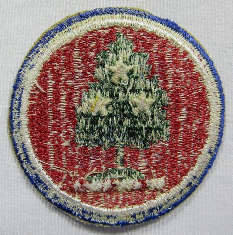 Tennessee National Guard Patch – Griffin Militaria