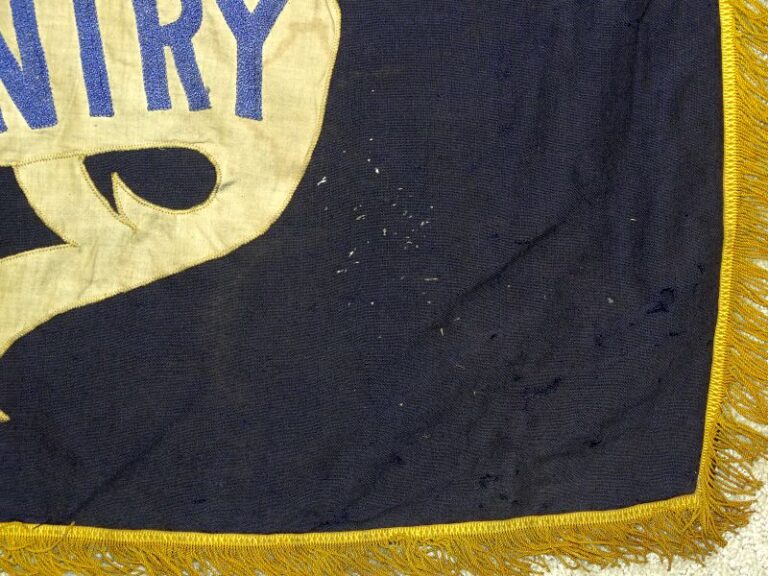 New Jersey National Guard Tenth Infantry Battalion Unit Flag 48 Inches ...