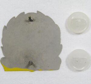 4th Psychological Operations Group Variation Beercan Crest / DUI ...