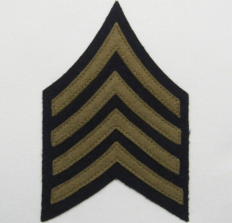 WWII Aviation Cadet Company Commander Chevron – Griffin Militaria
