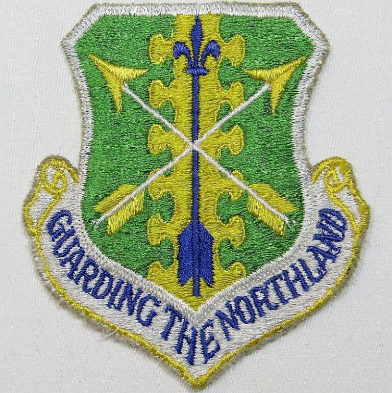 USAF 119th Wing Patch – Griffin Militaria