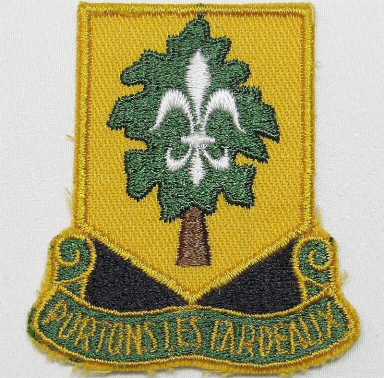 101st Support Battalion Patch – Griffin Militaria