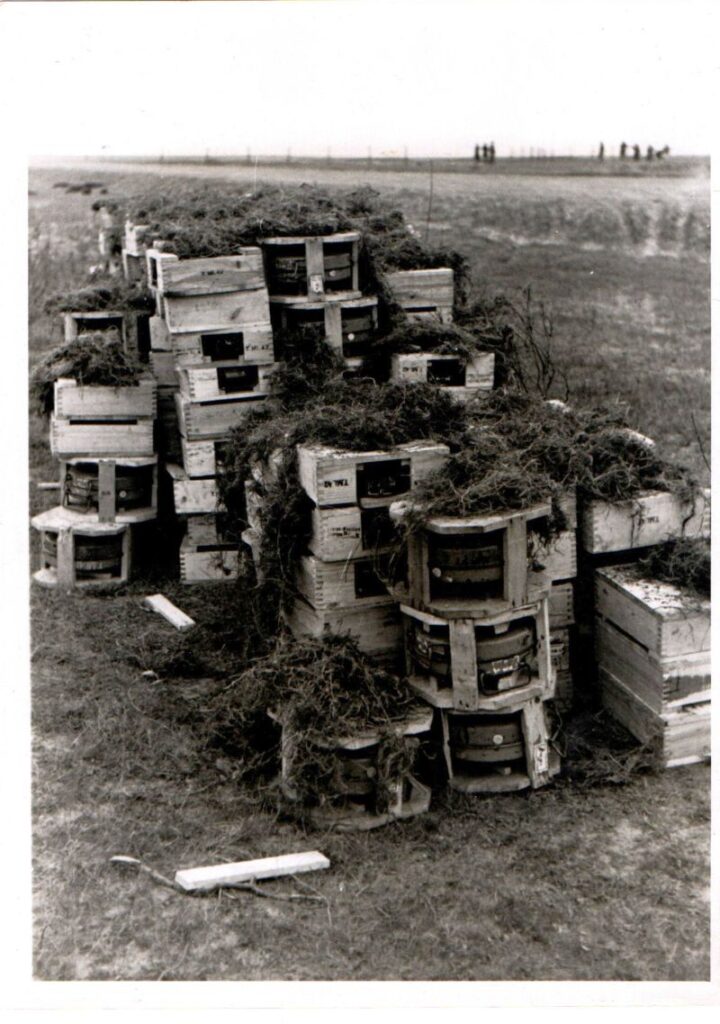 Photograph of German Mines at Prokissel Belarus, Nov 10, 1943 – 5-1/4 ...