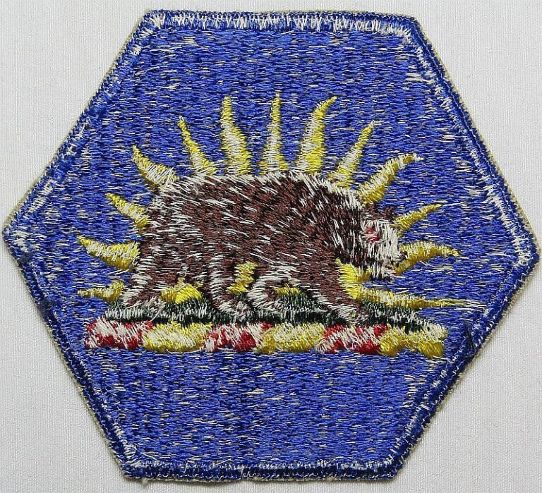 California State Guard Patch – Griffin Militaria