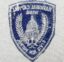 National Capital Wing Civil Air Patrol Patch – Griffin Militaria