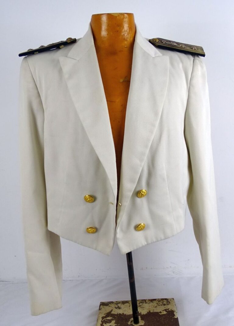 Large Grouping of the Uniforms, Medals, Documents, and Insignia of U.S ...