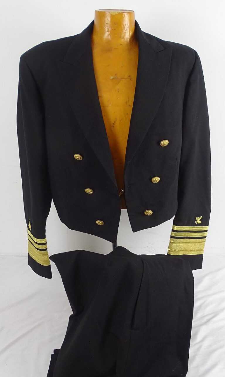 Large Grouping of the Uniforms, Medals, Documents, and Insignia of U.S ...