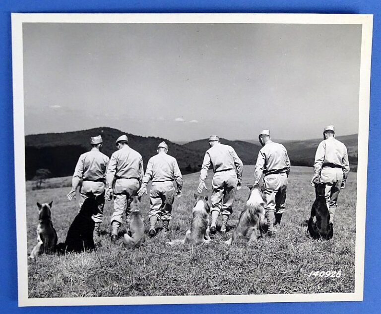 Large WWII 8 Inch by 10 Inch Official U.S. Army Signal Corps Photograph ...