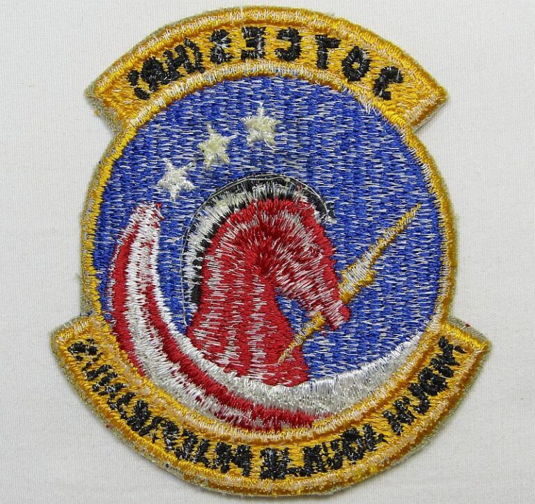 307th Civil Engineering Squadron Patch – Griffin Militaria