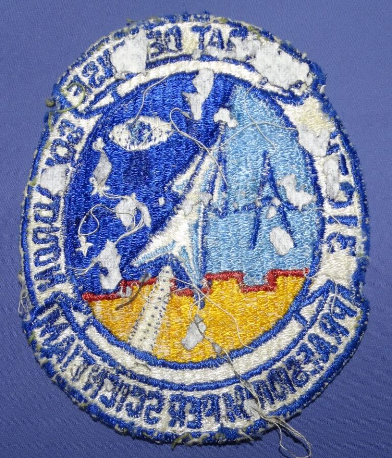 310th Combat Defense Squadron Patch – Griffin Militaria