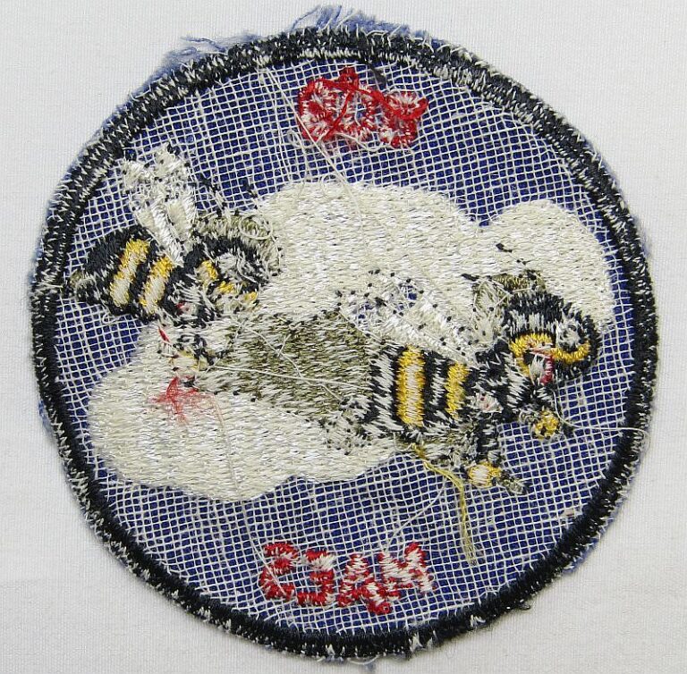 809th Medical Air Evacuation Squadron Patch – Griffin Militaria