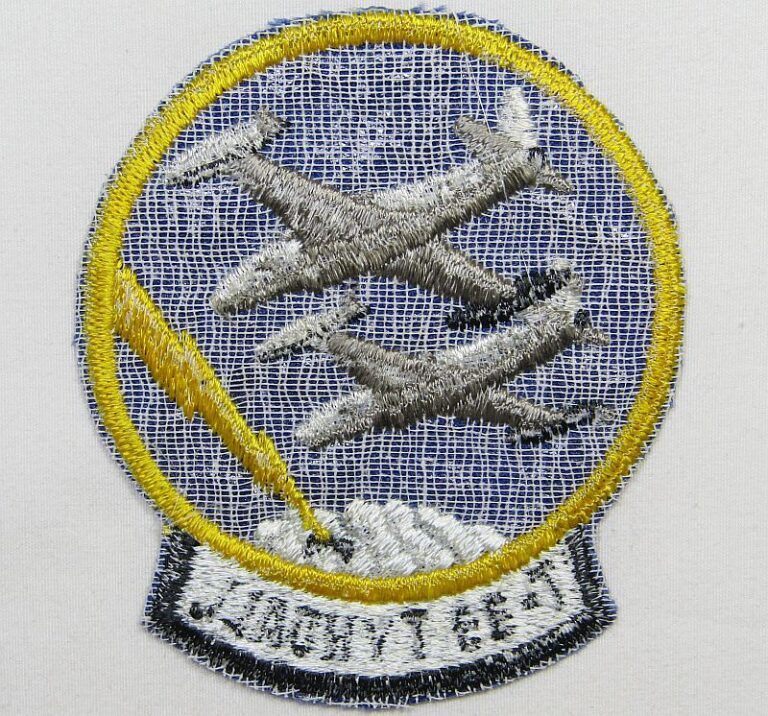 95th Fighter Interceptor Training Squadron Patch – Griffin Militaria