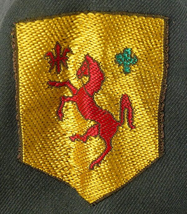 The Uniform of U.S. Army 113th Cavalry Group Commander Major General ...